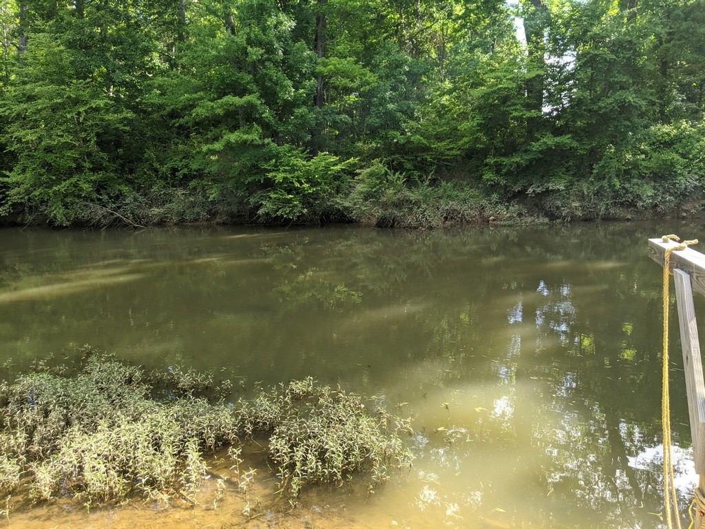 Upper Choccolocco Creek - Swim Guide