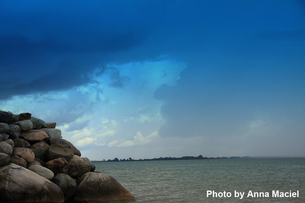 Cedardale - Swim Guide