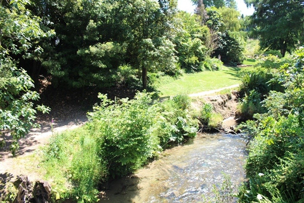 Utuhina Stream Pukehangi Road - Swim Guide