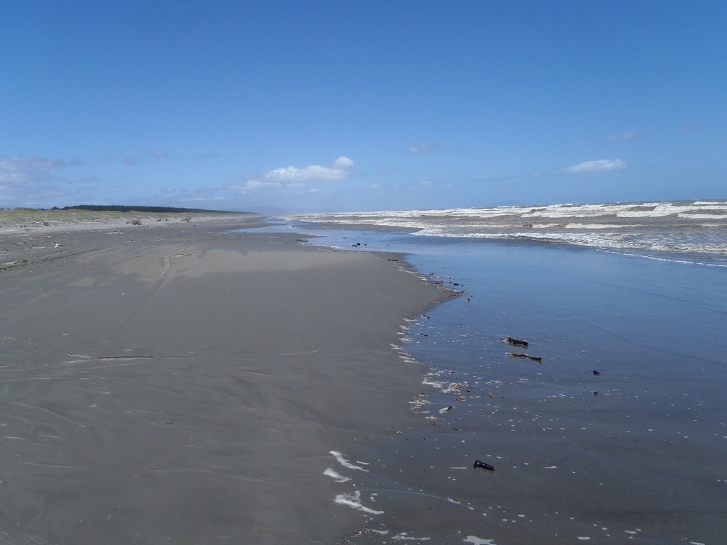 Waitarere Beach at Tasman Sea - Swim Guide
