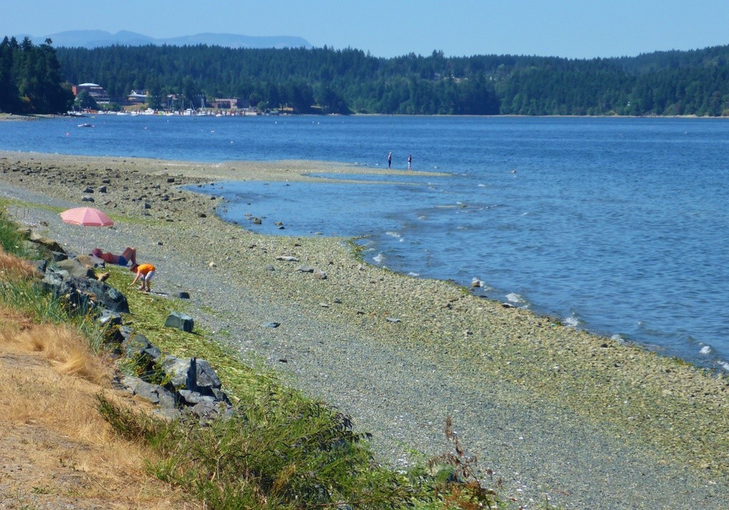 Pebbly Beach - Swim Guide