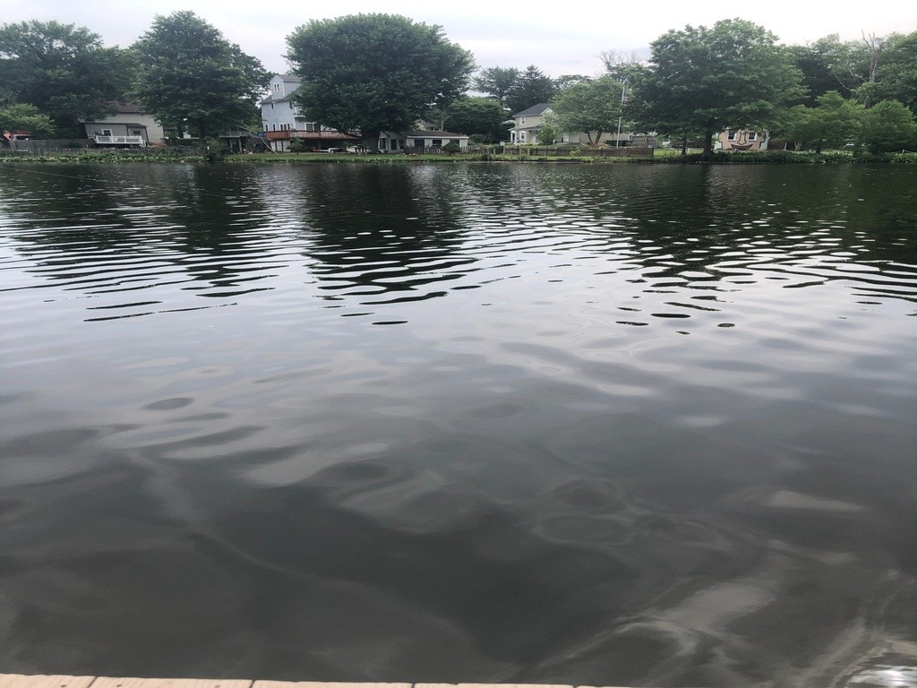 (PL1) Peddie Lake | Swim Guide