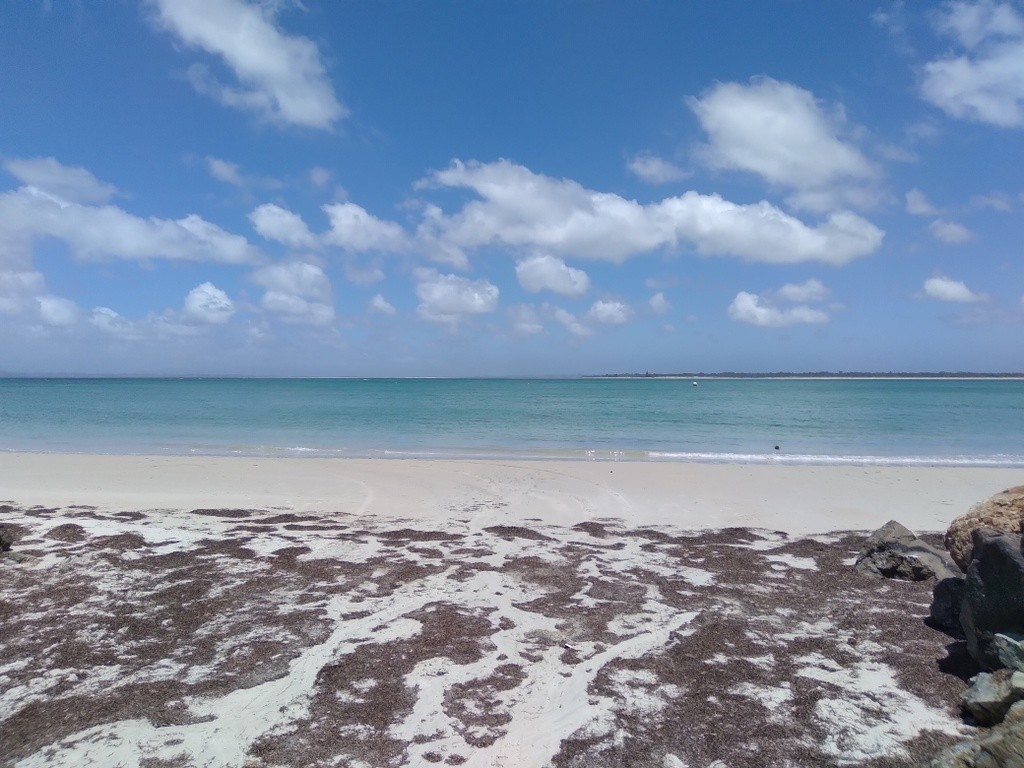 Rangunu Harbour at Rangiputa Road | Swim Guide