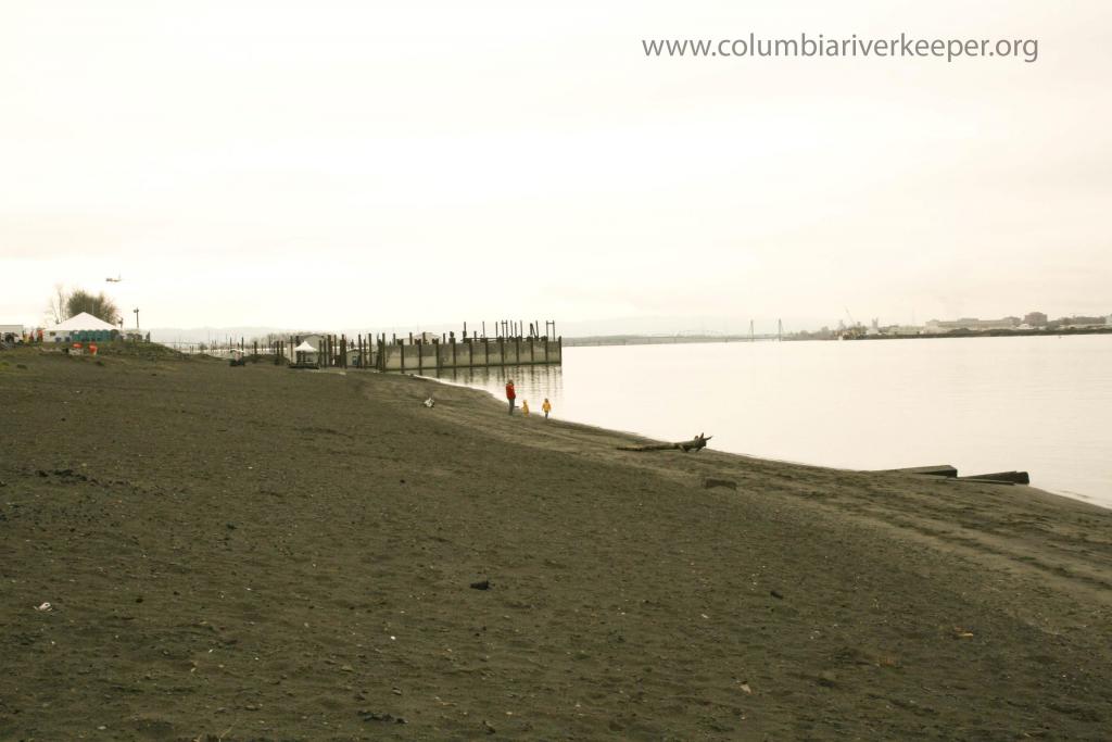 Broughton Beach - Swim Guide