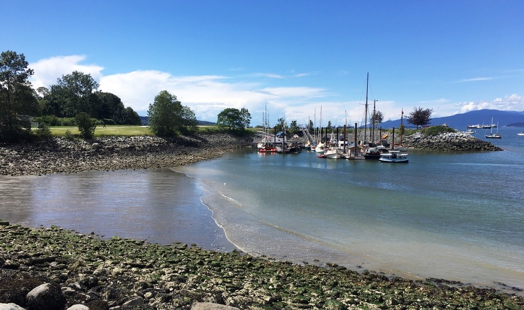 Vanier Park (FRK) | Swim Guide