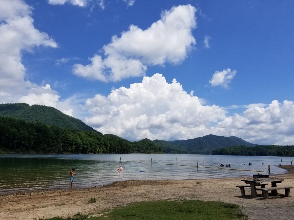 Shook Branch Swimming Area, Watauga Lake | Swim Guide