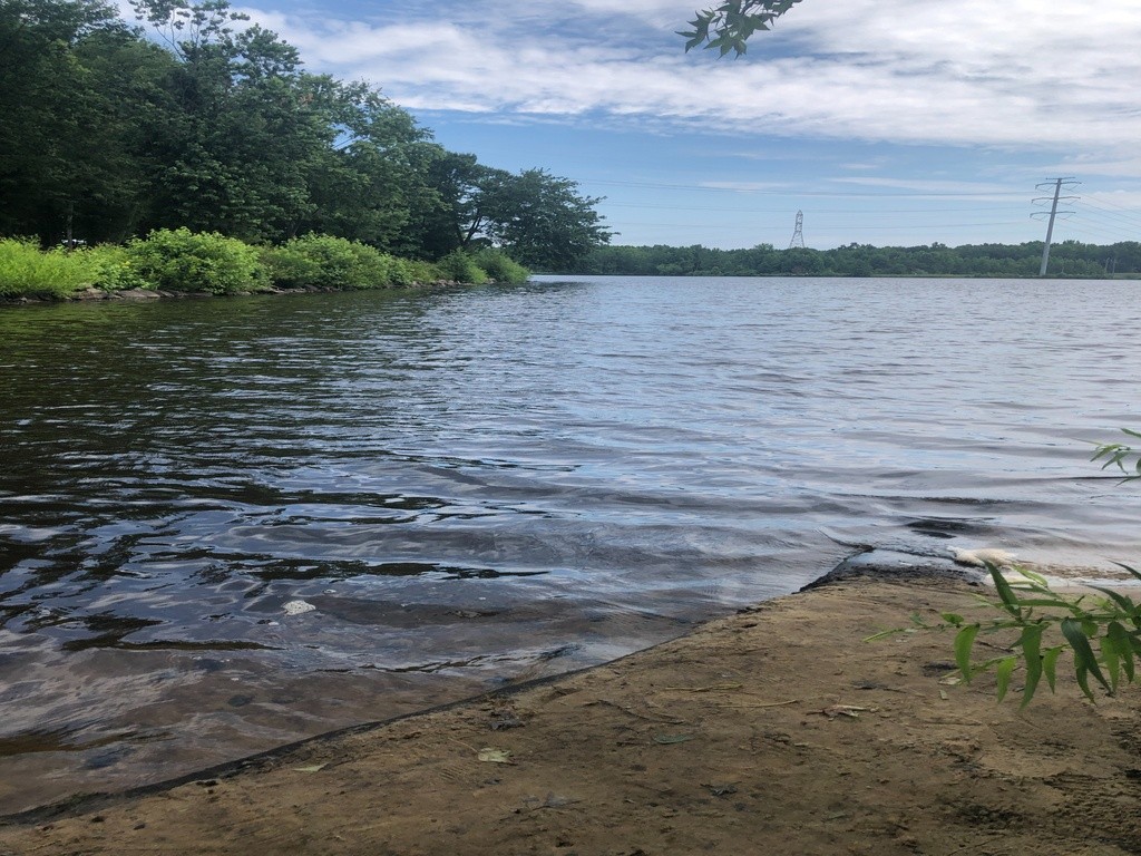 (MRCL1) Mercer Lake - Swim Guide