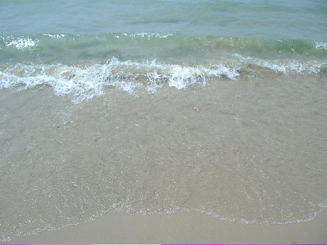 Colchester Beach - Swim Guide