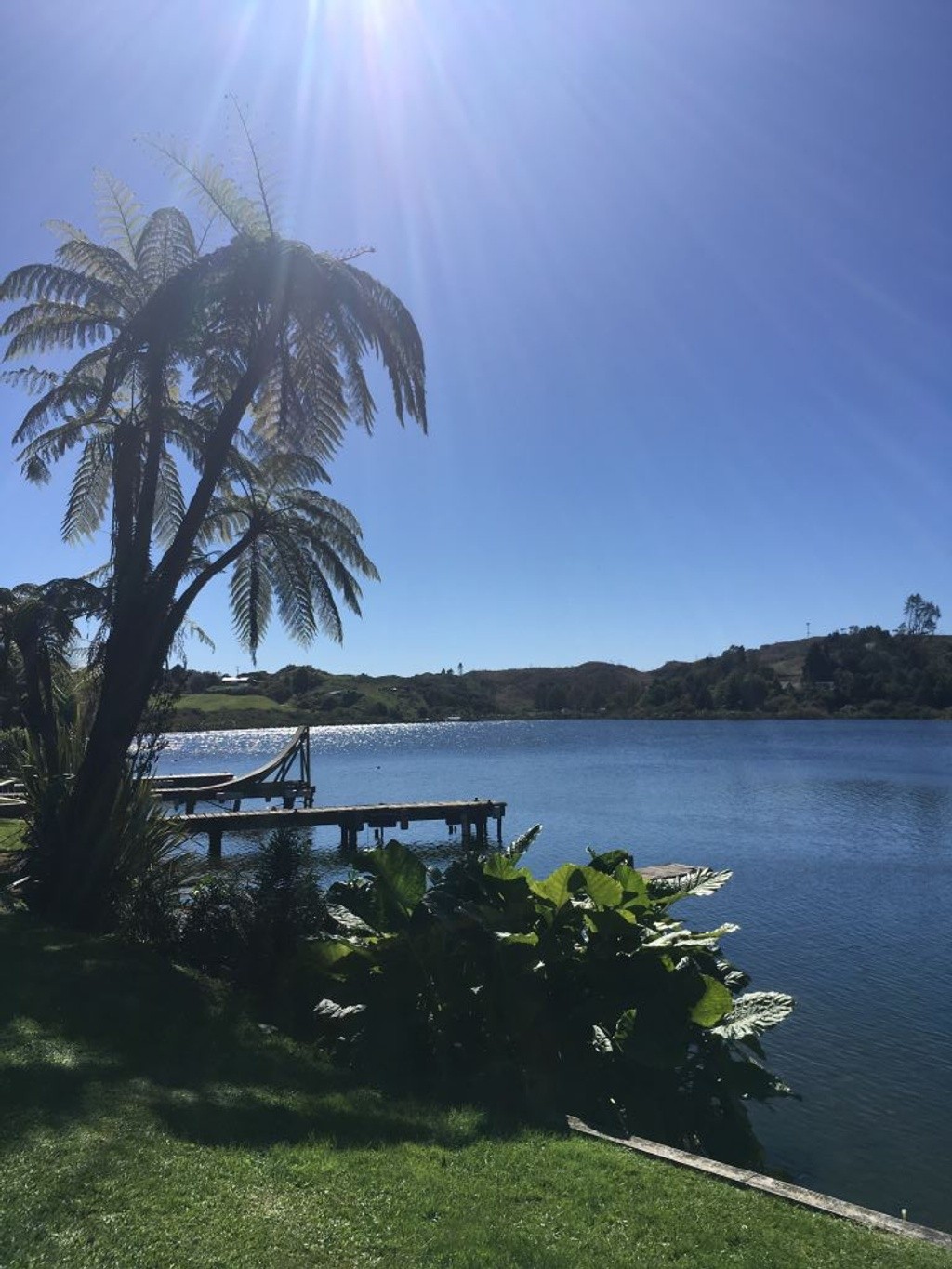 Lake Rotoiti at Te Weta Bay - Swim Guide