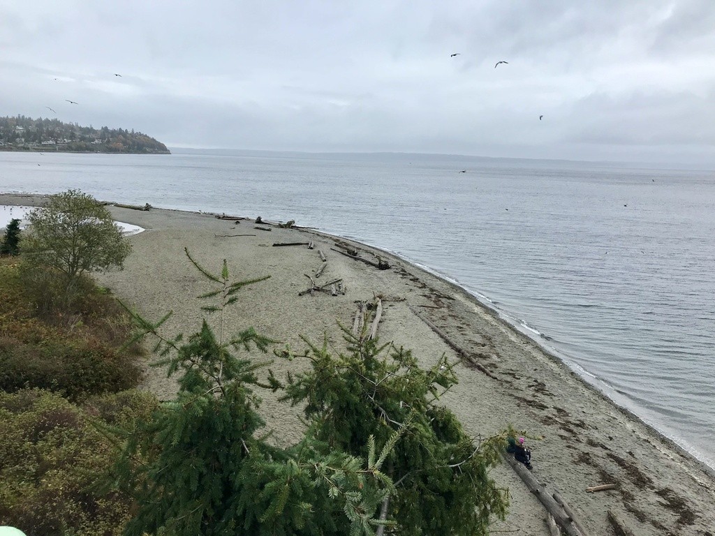 Carkeek Park - Swim Guide