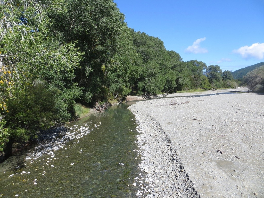 Waiapu River at Rotokautuku Br (SH35) - Swim Guide
