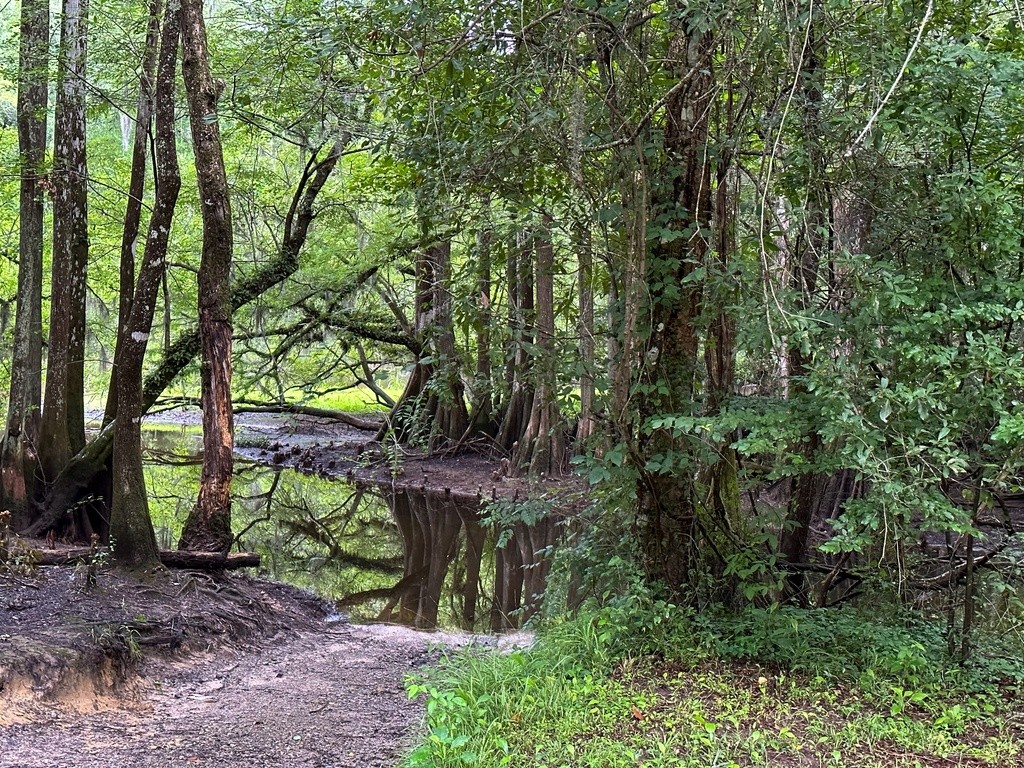 Lynches River - Indigo Landing - Swim Guide