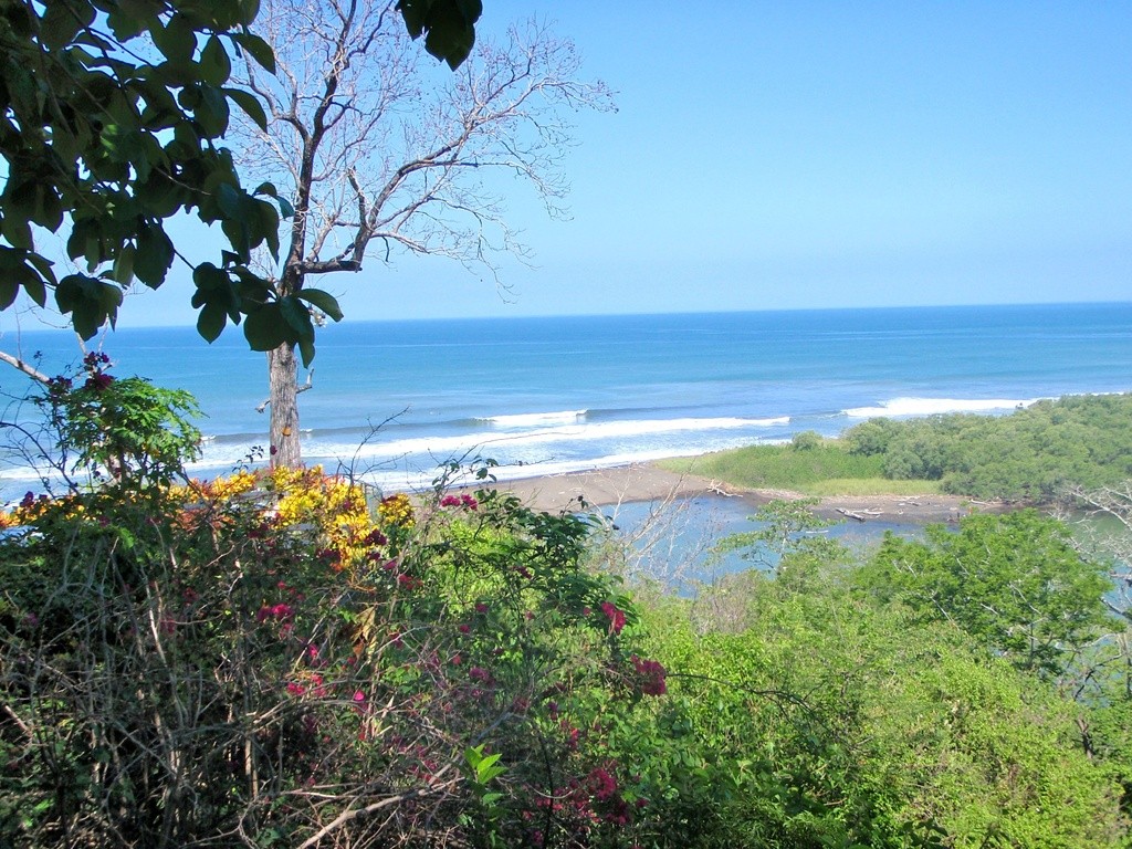 Nosara Rivermouth (Boca Rio Nosara) | Swim Guide