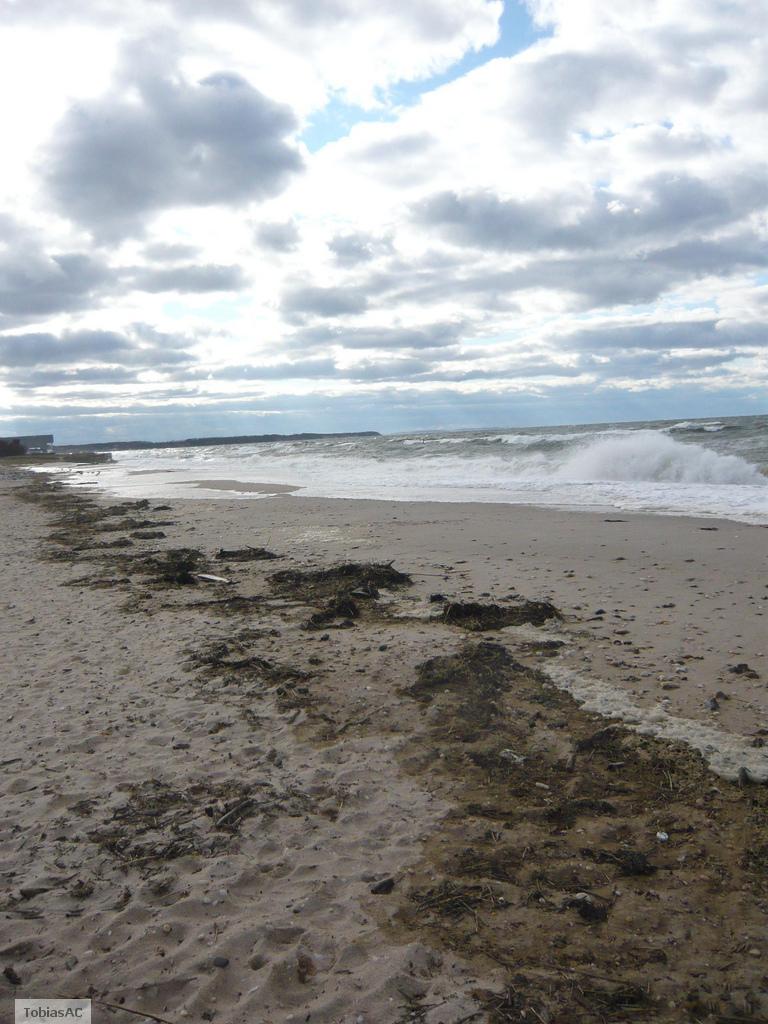 Southold Beach - Swim Guide