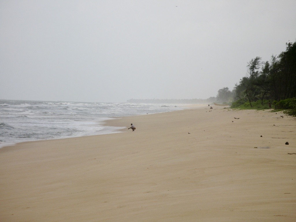 Padubidri End Point Beach - Swim Guide