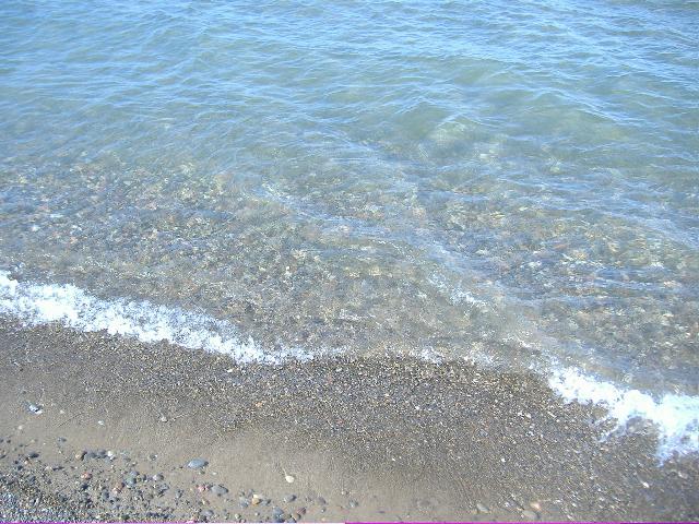 Ashfield Beach - Swim Guide