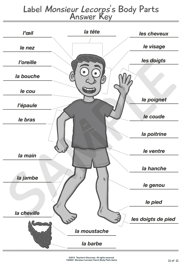 Parts Of The Body French Games at Steve Mercado blog