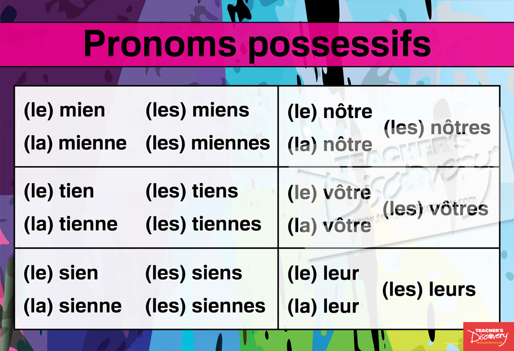 French Pronouns and Adjectives Charts Set of 9, French: Teacher's Discovery