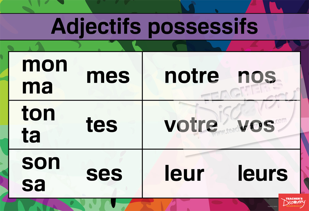 French Pronouns and Adjectives Charts Set of 9, French: Teacher's Discovery