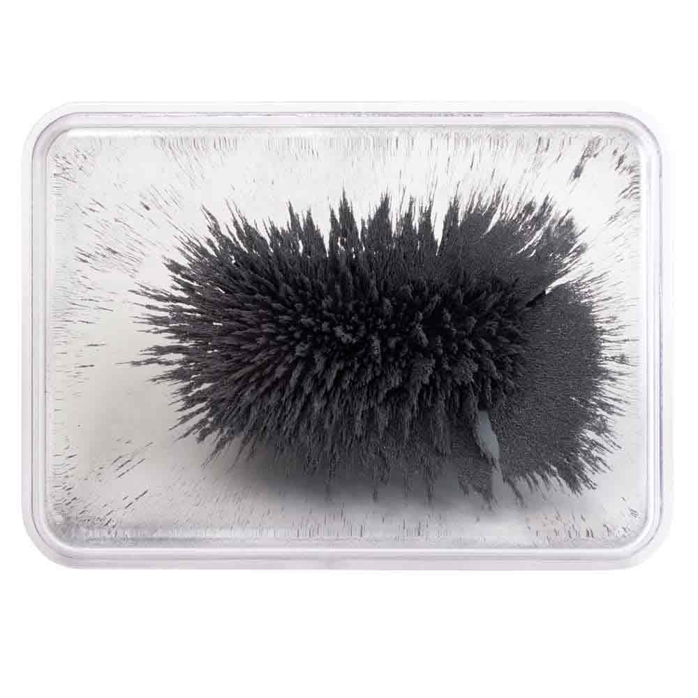 Sealed Iron Filings, Electricity & Magnetism: Educational Innovations, Inc.