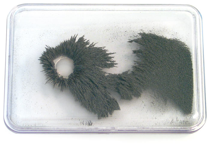 Electricity & Magnetism - Sealed Iron Filings