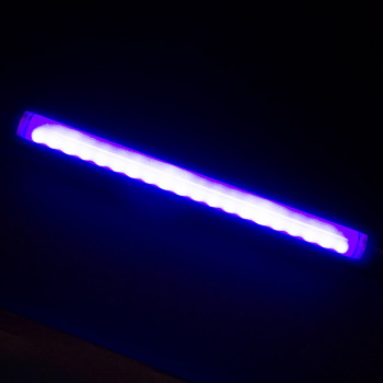 Ultraviolet (UV) Light Experiments | Educational Innovations