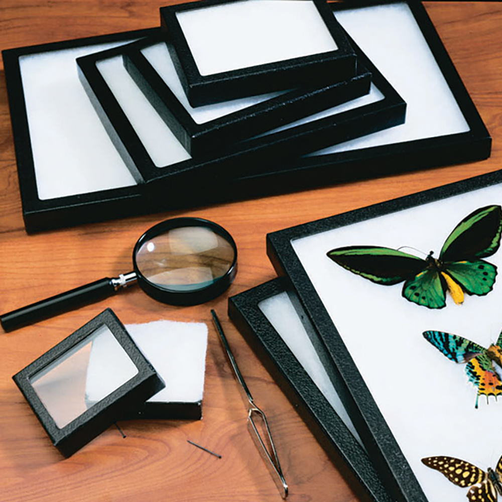 Archival Storage - Riker Specimen Boxes