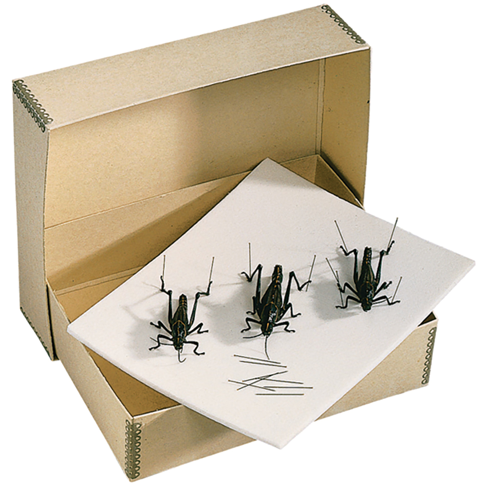 Archival Storage - Specimen Pins