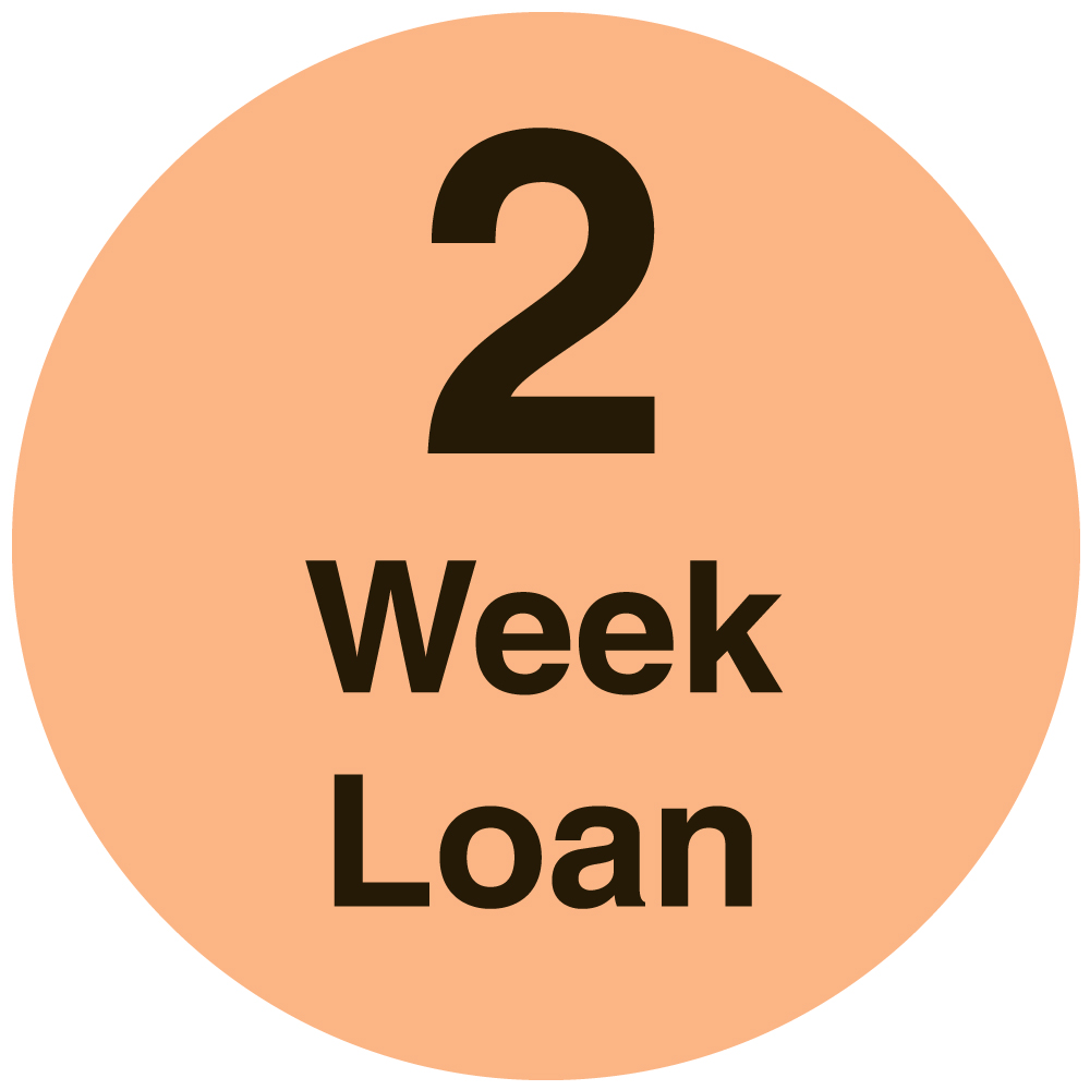 Circulation & Classification Labels - Information Dot Labels - 2 Week ...