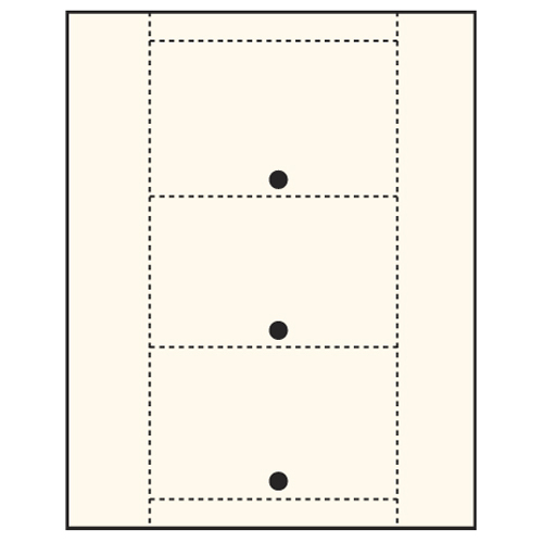 Catalog Cards - Laser Printer Catalog Cards - 3-Up, Medium Weight