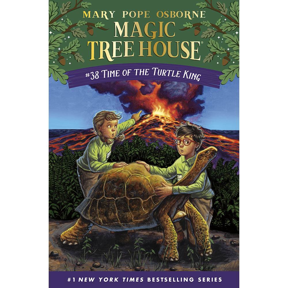 Main item Numbers - Time of the Turtle King (Hardcover)