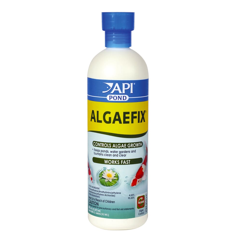 API Algaefix | Algae Control for Pond | The Pond Guy