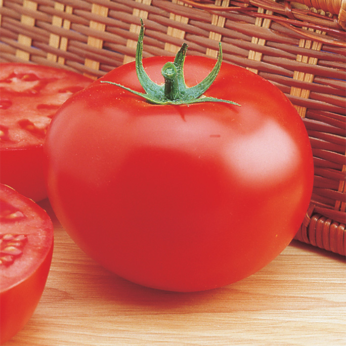 Delicious Tomato, Grafted Tomato Plants: Totally Tomatoes