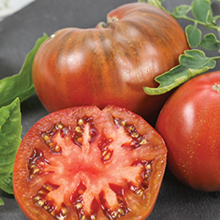 Chef's Choice Purple Hybrid Tomato, Hybrid Tomato Seeds: Totally Tomatoes