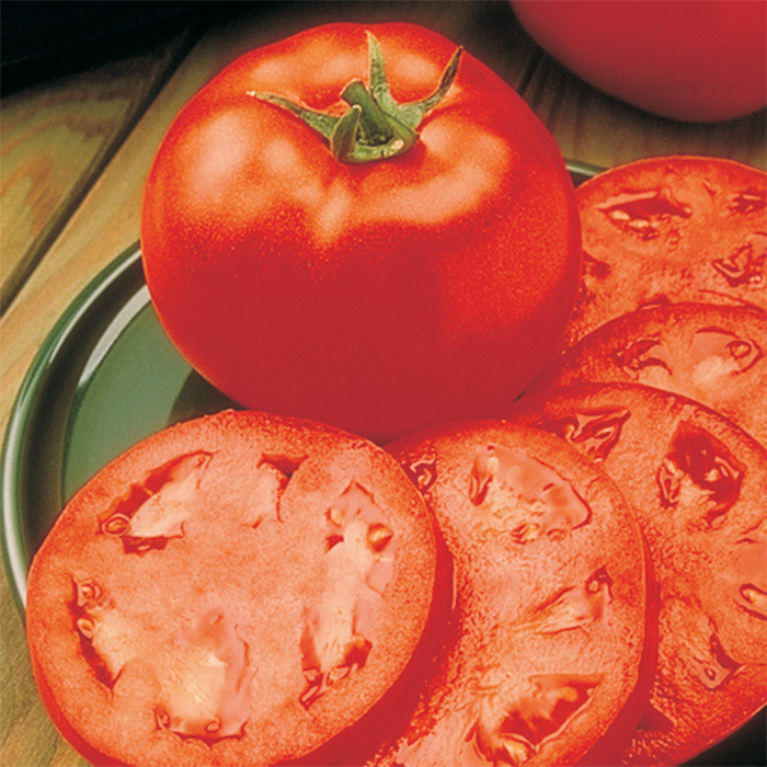 Homestead Tomato, Medium-Large Tomato Seeds: Totally Tomatoes