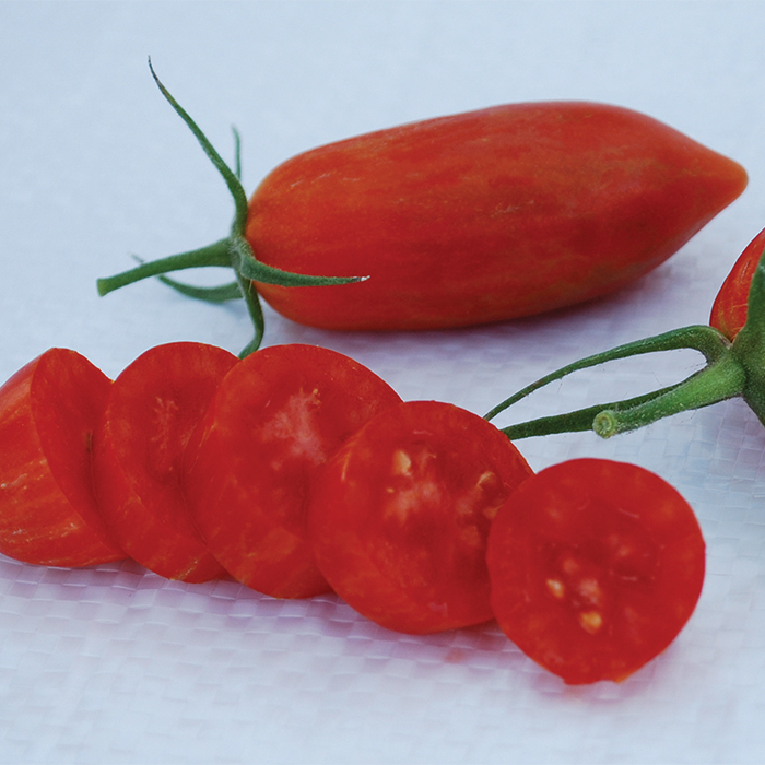 Prairie Fire Tomato, Cherry/Grape Tomato Seeds: Totally Tomatoes