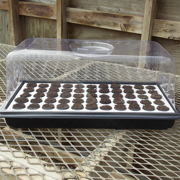 Q Plug Starter Kit, Seed Starting: Totally Tomatoes