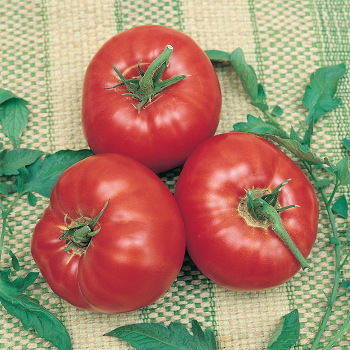 Hybrid Tomato Seeds: Totally Tomatoes
