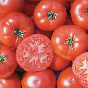 Heirloom Tomato Seeds: Totally Tomatoes