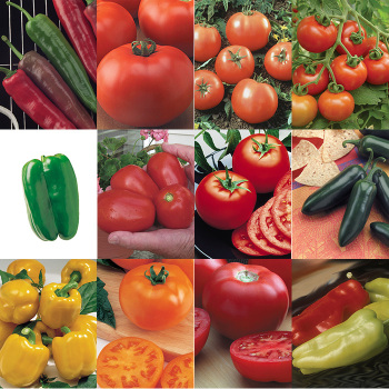 Goliath Tomato Seeds: Totally Tomatoes