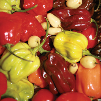 Hot Pepper Seeds: Totally Tomatoes