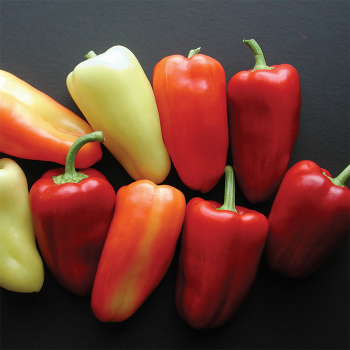 Sweet Non-Bell Pepper Seeds: Totally Tomatoes