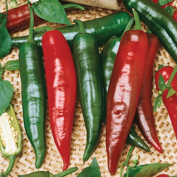 Hot Pepper Seeds: Totally Tomatoes