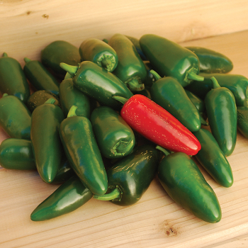 Hot Pepper Seeds: Totally Tomatoes