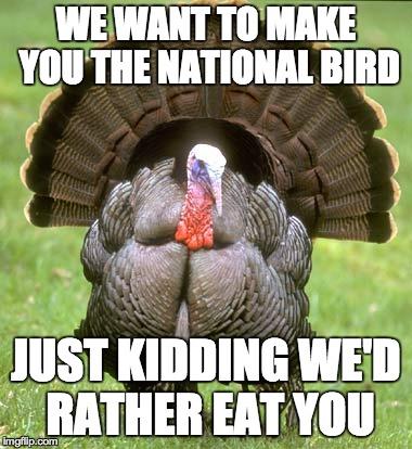 4 Ways to Get Through Thanksgiving in College - uCribs