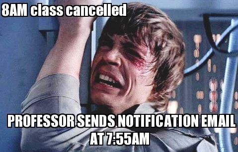 5 Resolutions Everyone Needs to Follow - uCribs