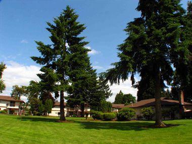 Gateway Village Apartments - uCribs