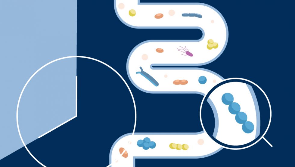 Intermittent Fasting for Gut Health | The Feel Great Blog