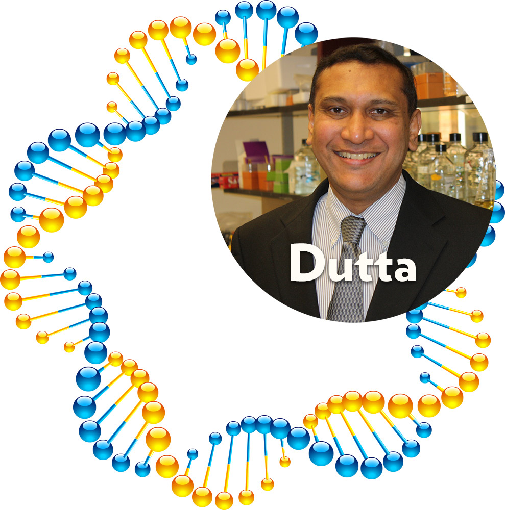 What's the Big Idea?—VIRGINIA Magazine