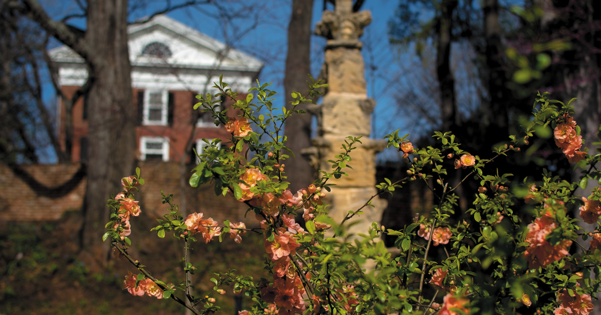 Bud Life—VIRGINIA Magazine